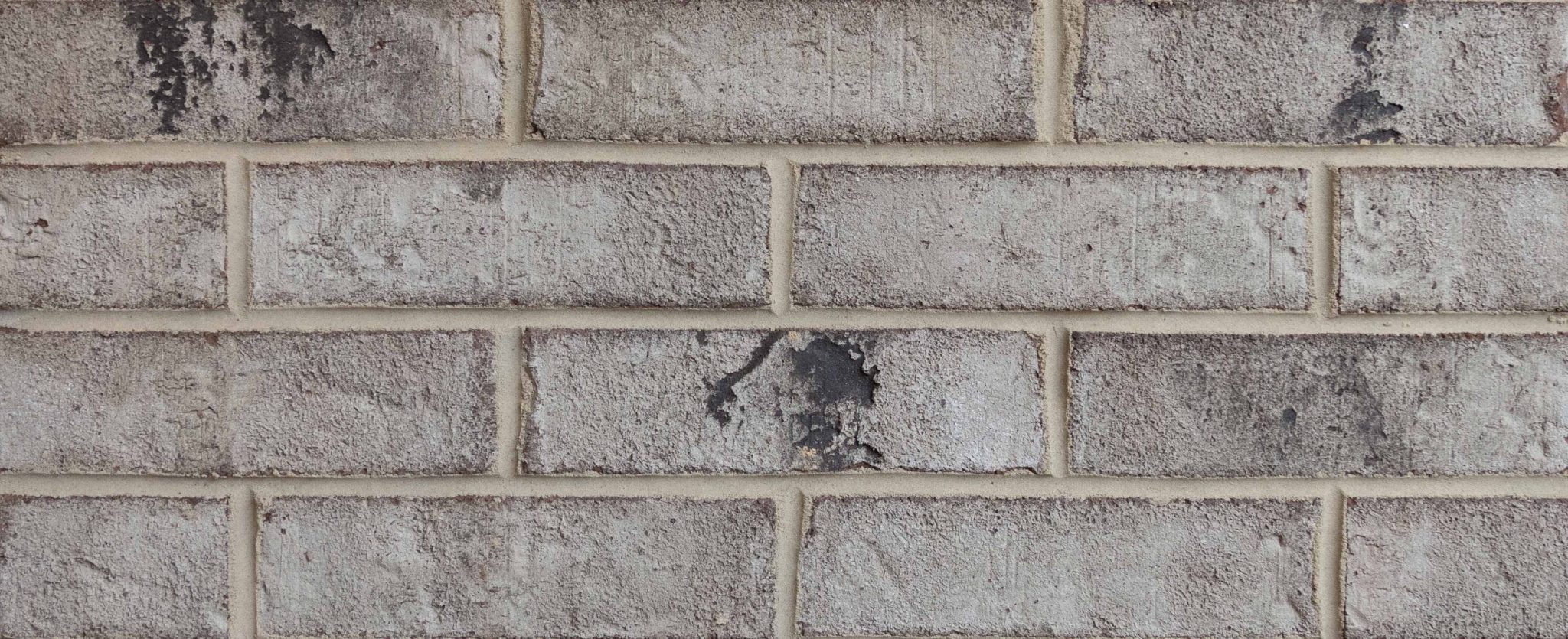 FULL BRICK - General Shale Brick Summerville